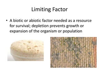 Abiotic or Biotic factors | PPT