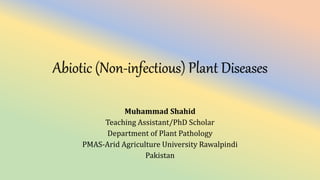 Abiotic Plant Diseases.pptx