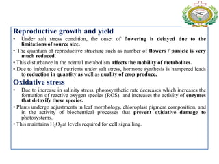 Abiotic stress | PPTX