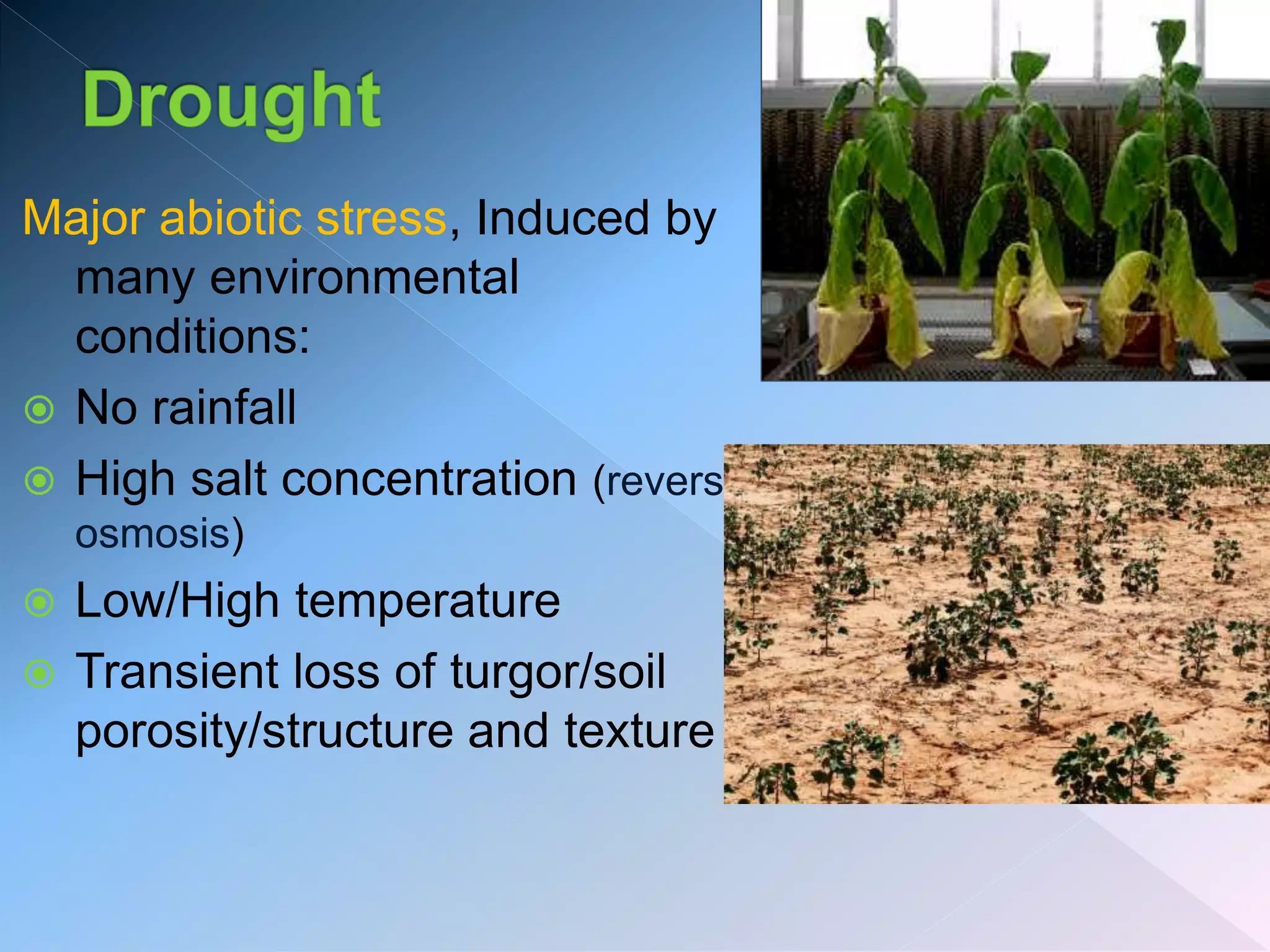 Abiotic stress classification and factors | PPTX