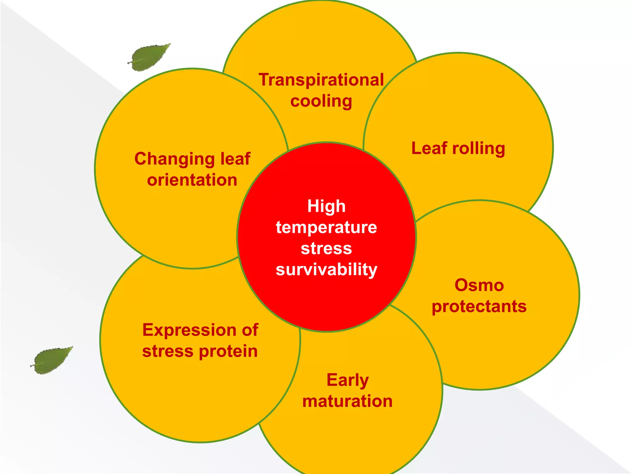 Abiotic stress classification and factors | PPTX