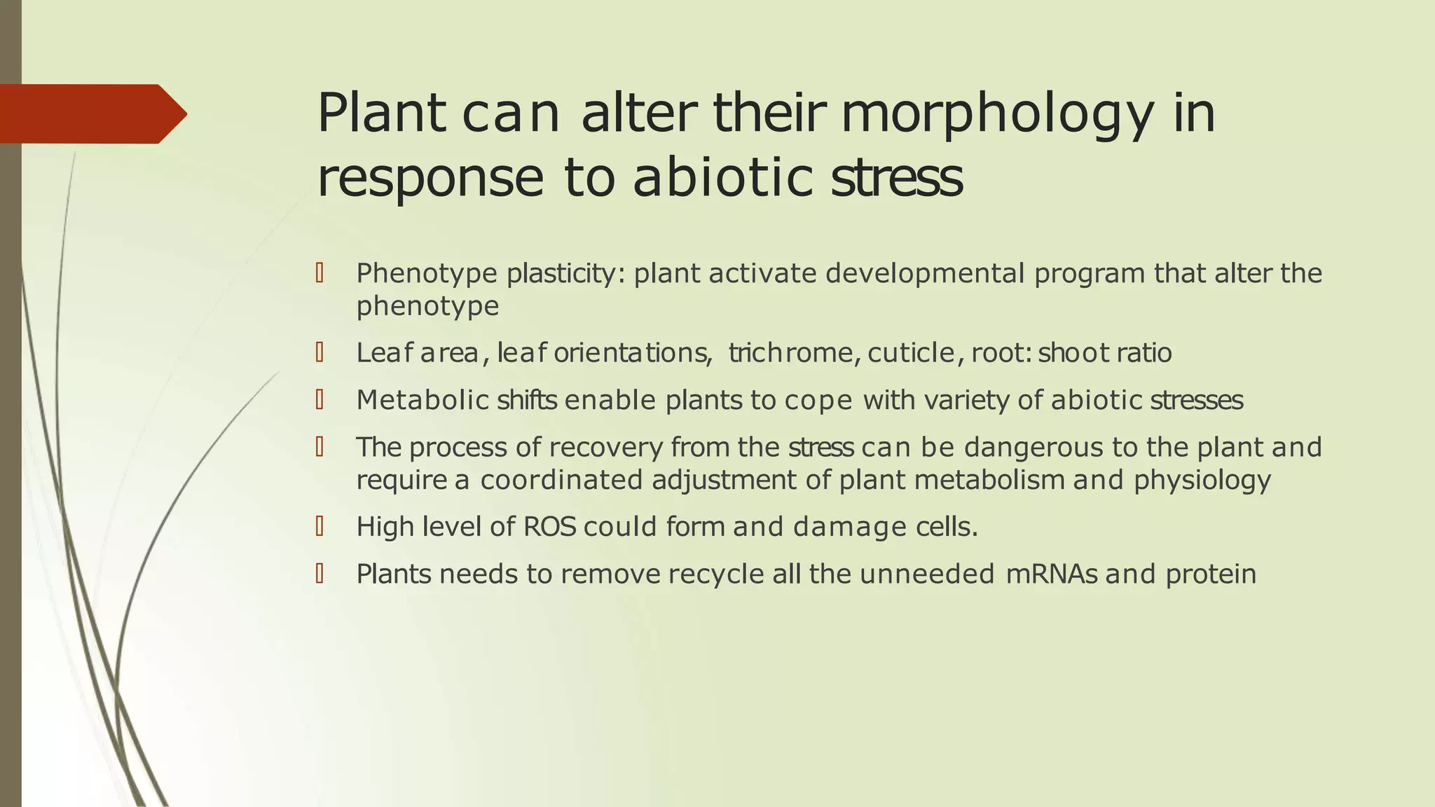 abiotic stressesinplant-.ppt.pptx