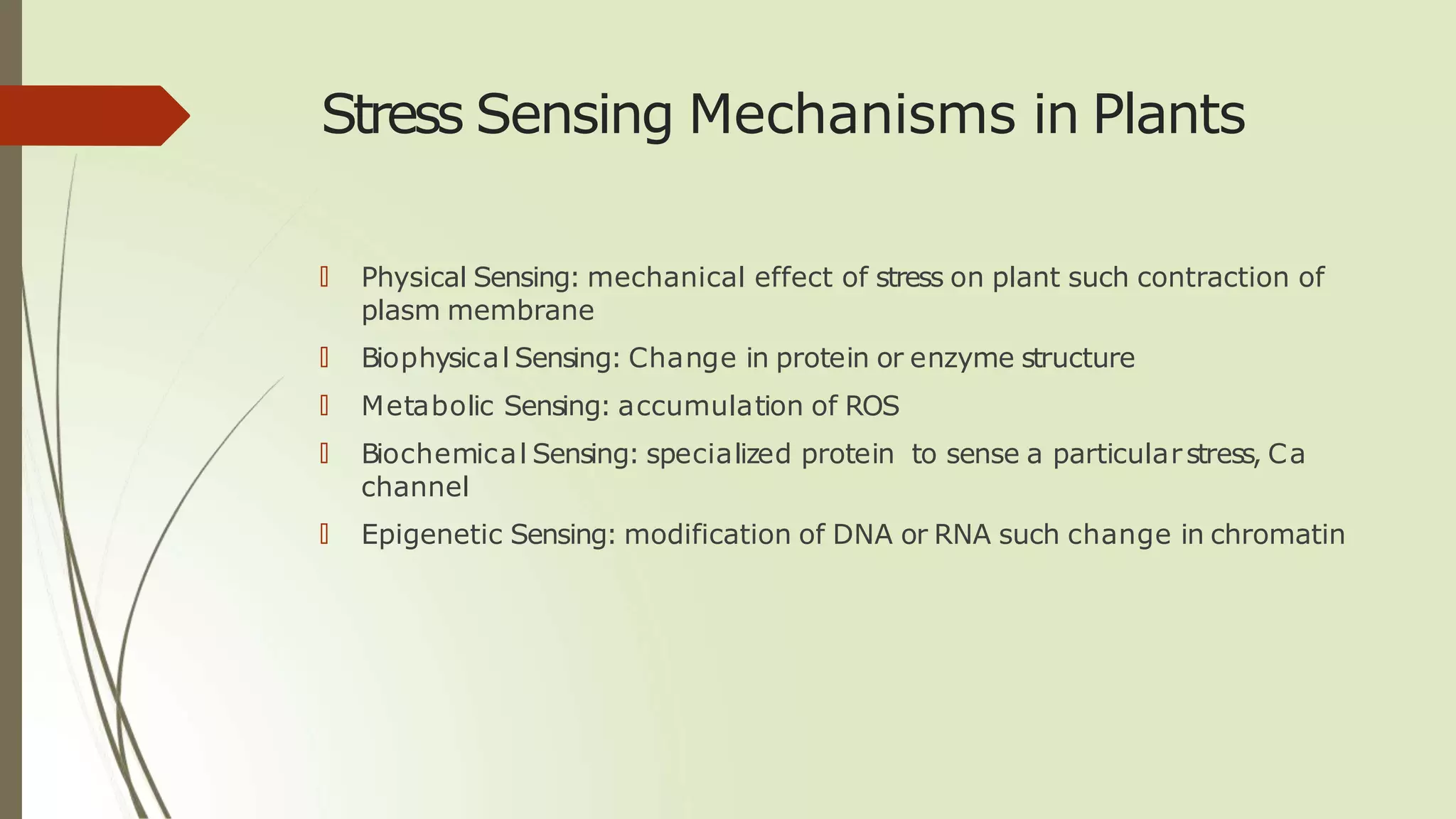 abiotic stressesinplant-.ppt.pptx