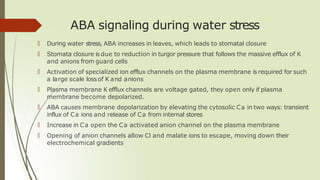 abiotic stressesinplant-.ppt.pptx