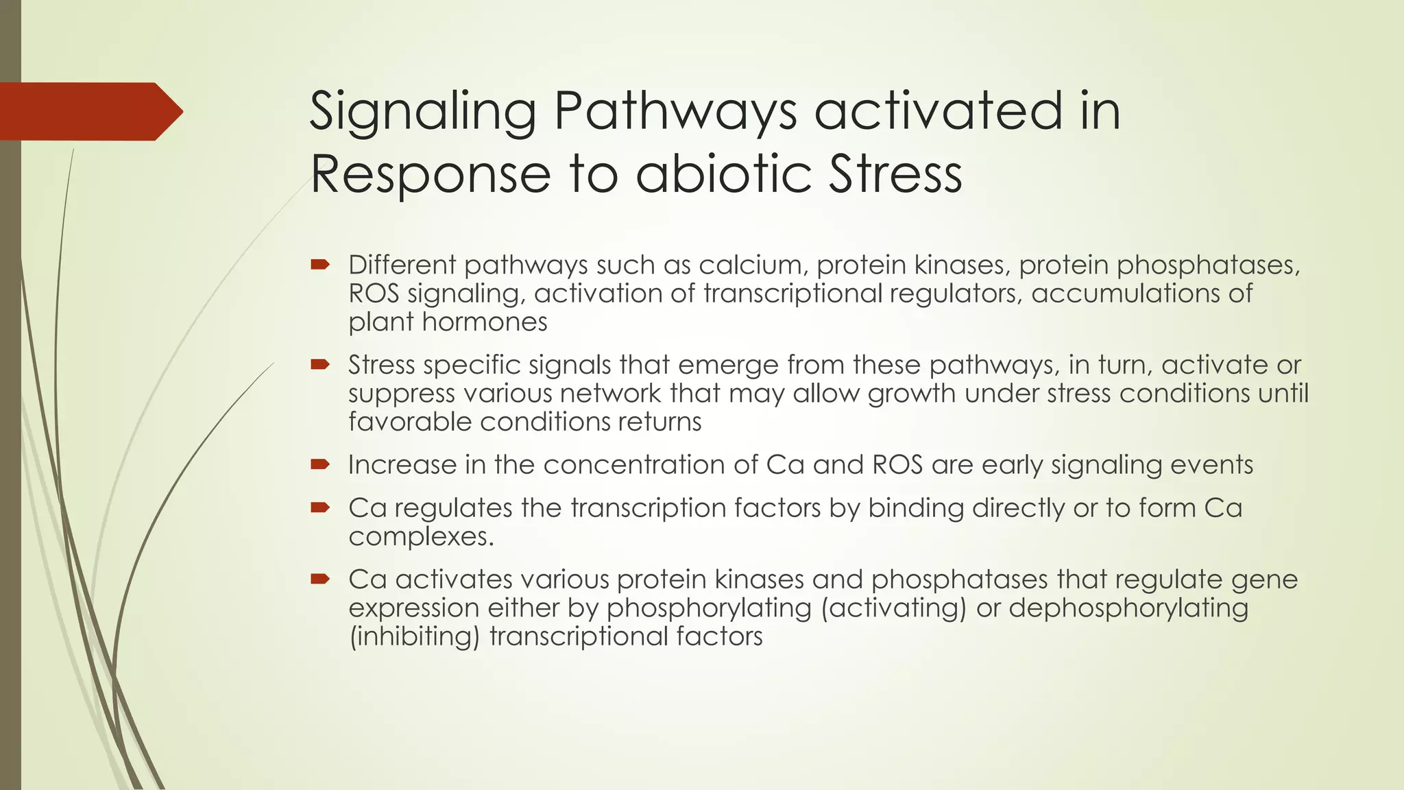 Abiotic stresses in plant | PDF