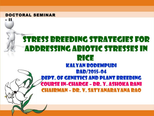 Abiotic stresses in rice | PPT | Agriculture | Industries