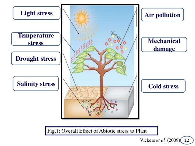 Abiotic stress in pulse crops