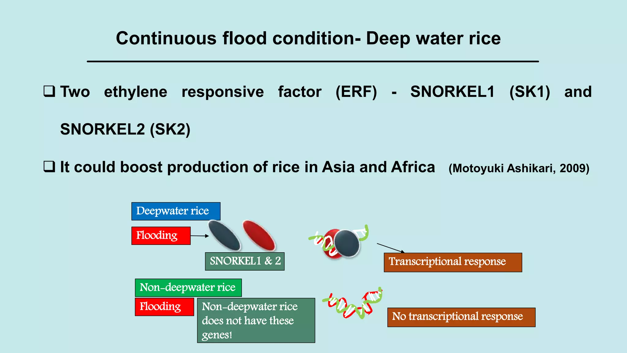 Abiotic stress management for sustainable agriculture | PPTX