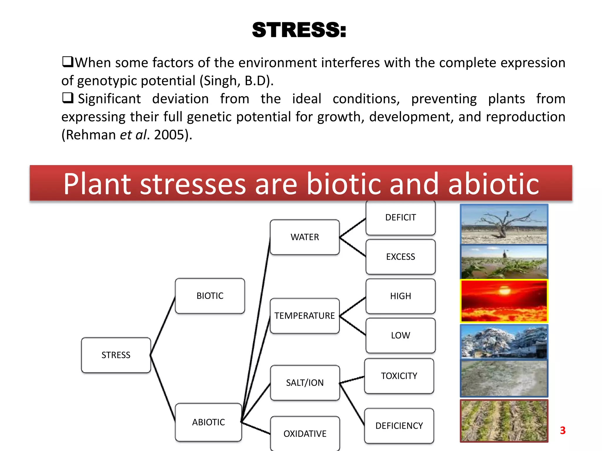 Abiotic stress management in vegetable crops | PPTX