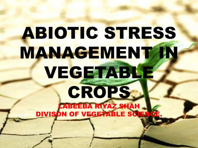 Abiotic stress management in vegetable crops | PPTX