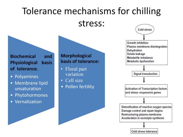 Abiotic stress management in vegetable crops | PPTX