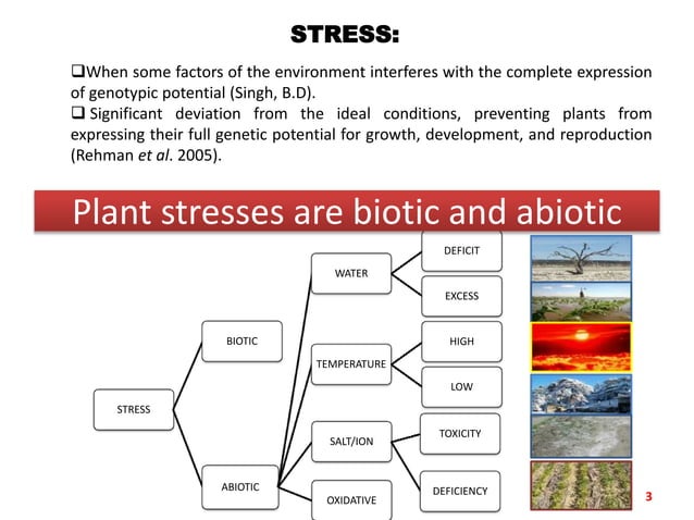 Abiotic stress management in vegetable crops | PPTX