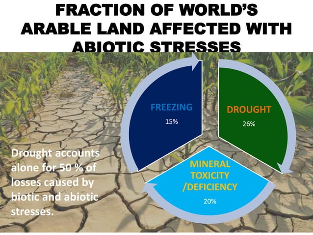 Abiotic stress management in vegetable crops | PPTX