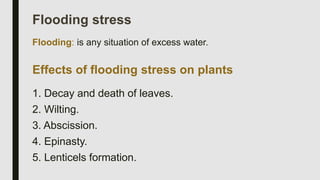 Abiotic stress presentation | PPTX