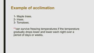 Abiotic stress presentation | PPTX