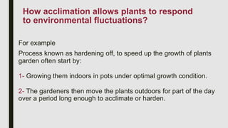 Abiotic stress presentation | PPTX