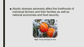 Abiotic stress presentation | PPTX