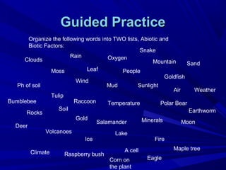 Abiotic vs. biotic web | PPT