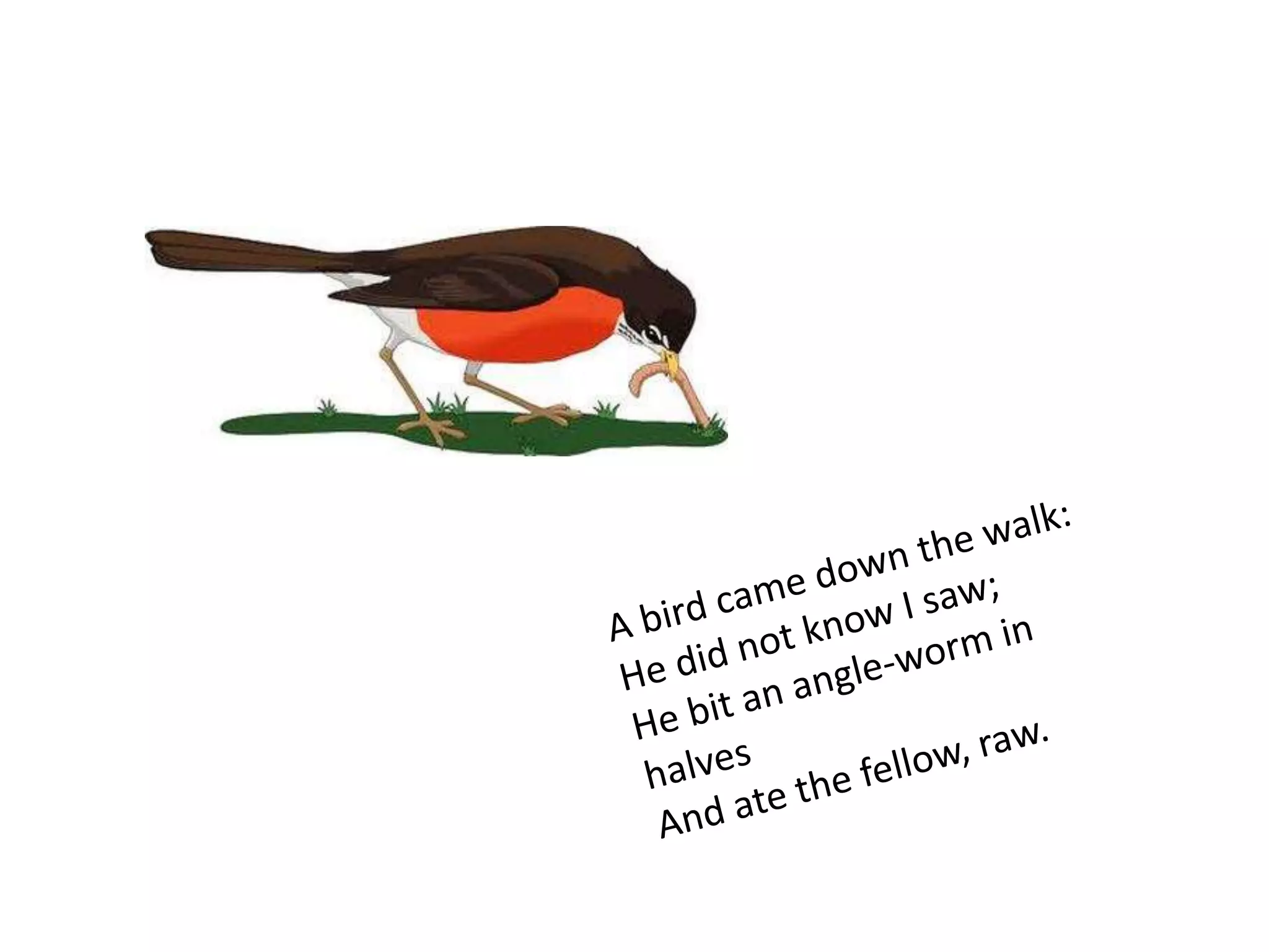 A bird came down the walk | PPTX