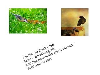 A bird came down the walk | PPTX | Poetry | Books and Literature