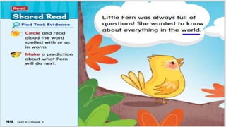 A Bird Named Fern.pptx