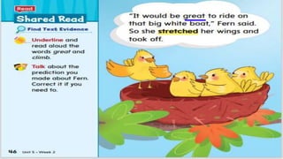 A Bird Named Fern.pptx