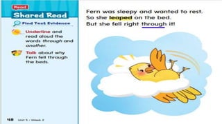 A Bird Named Fern.pptx