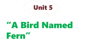 A Bird Named Fern.pptx