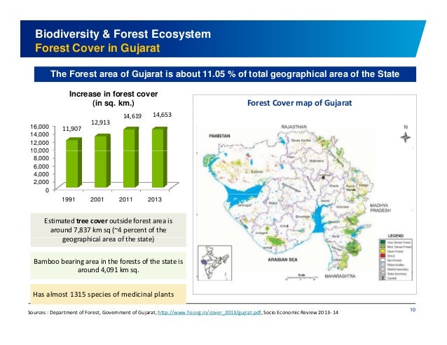 Vibrant Gujarat Bird's Eye View of Gujarat Forest Sector