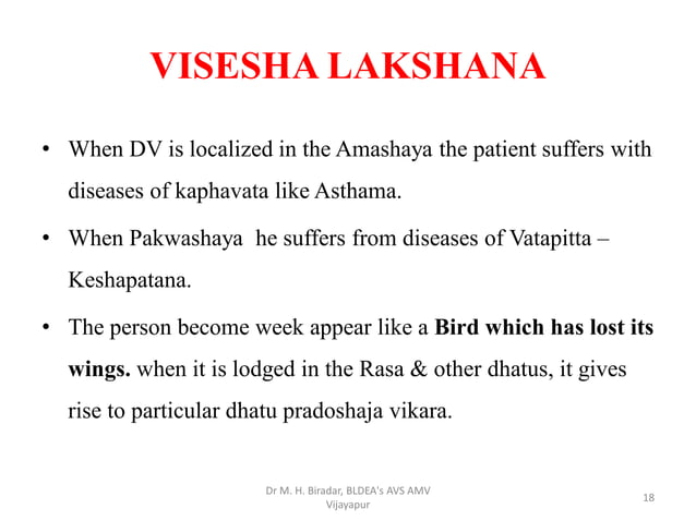 A BIRD VIEW ON DUSHI & GARAVISHA......pdf