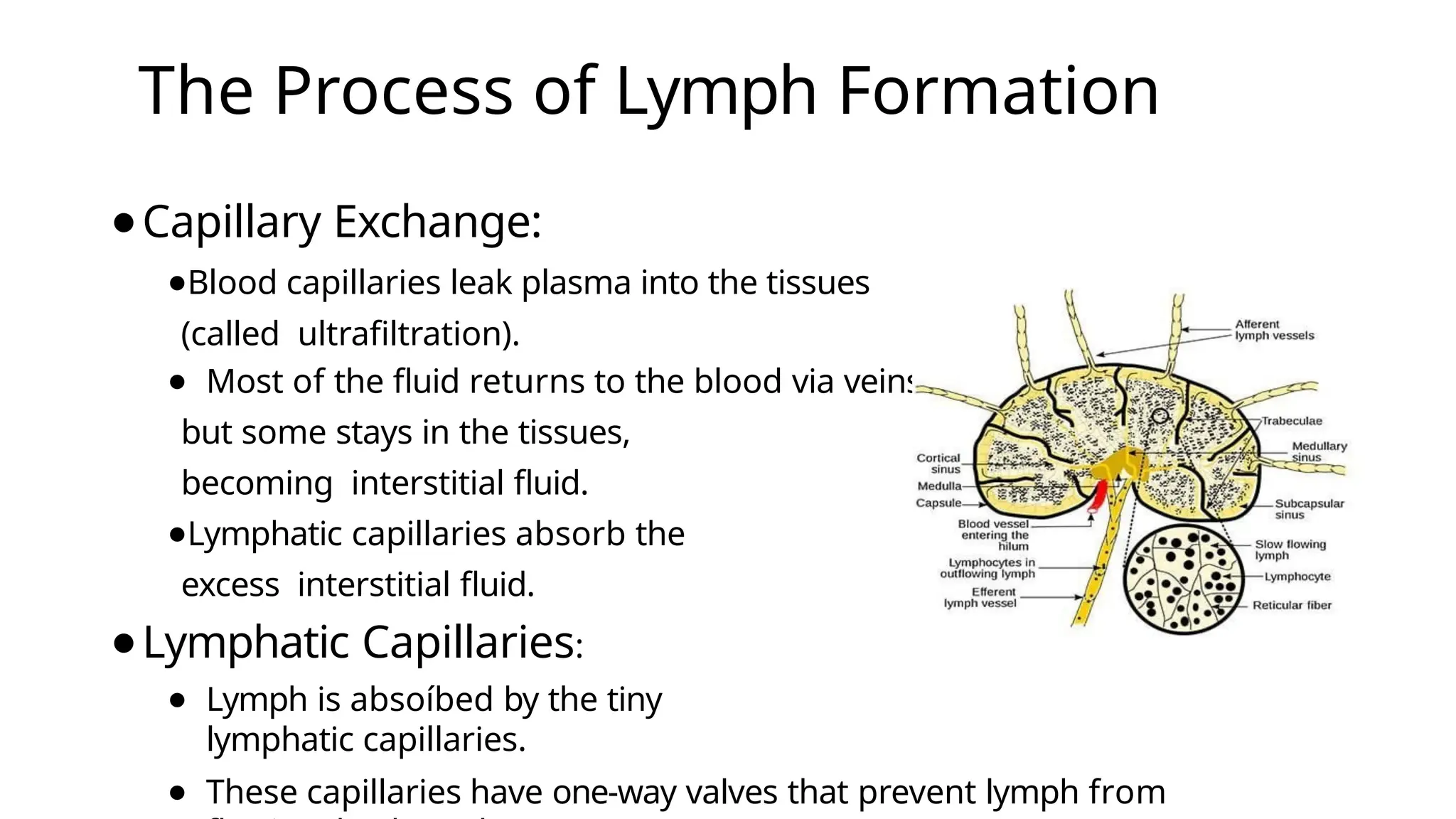 abir saha roll 1 human anatomy 1 ppt - Abir Saha.pptx