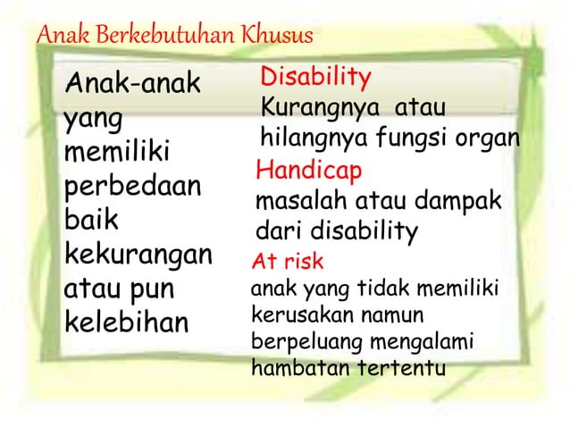 Anak Berkebutuhan Khusus | PPTX