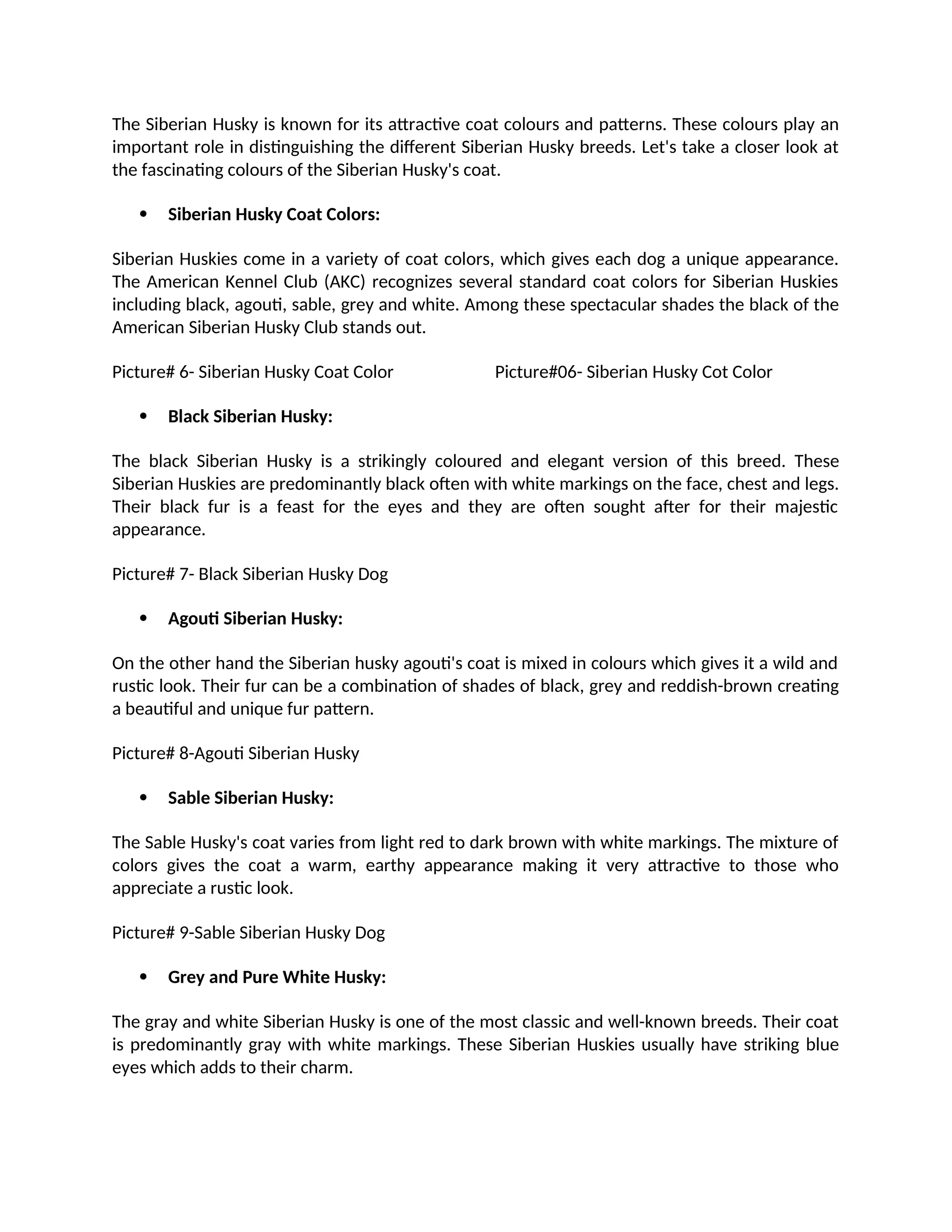 A Black Siberian Husky breeds and Colors | DOCX