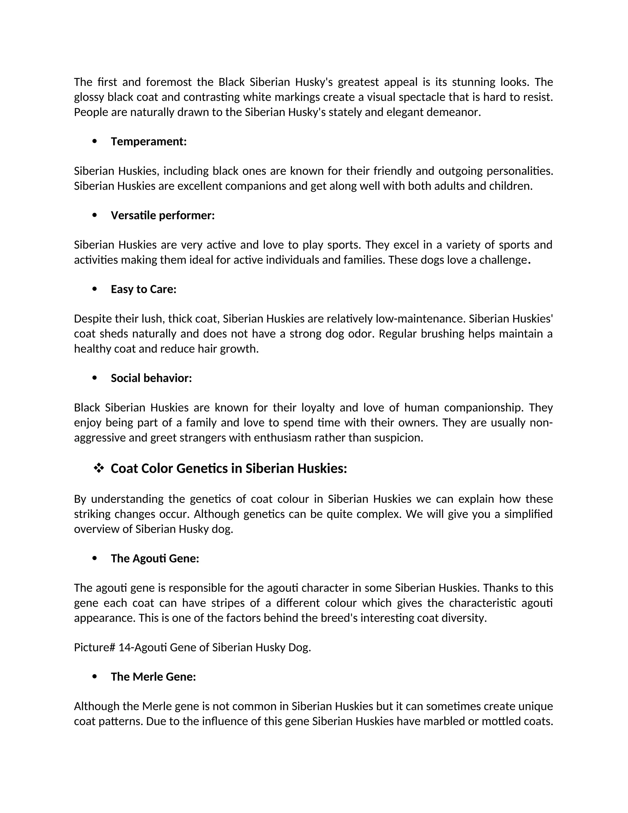 A Black Siberian Husky breeds and Colors | DOCX