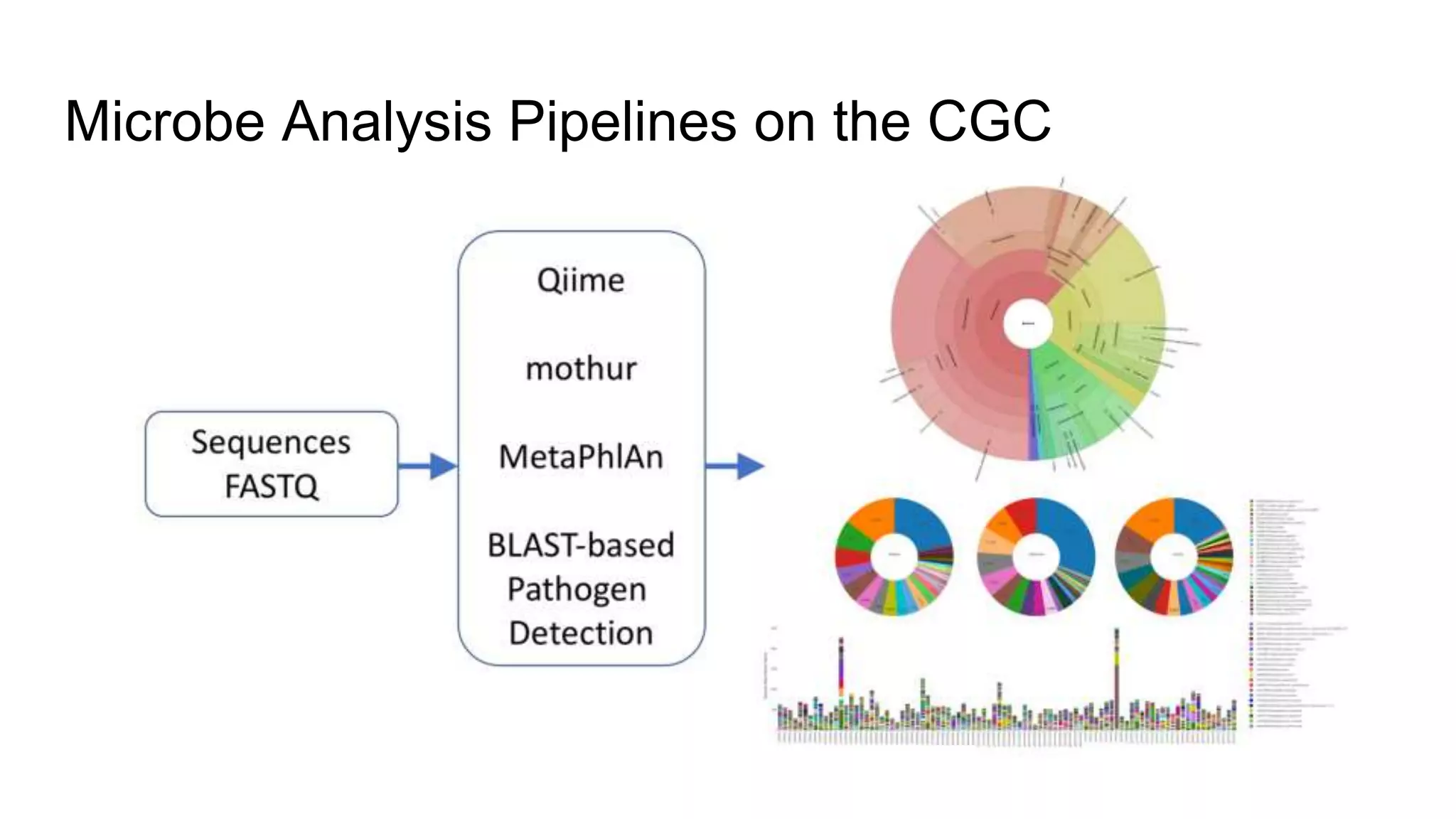 A Blast Based Microbe Characterization Pipeline Ppt