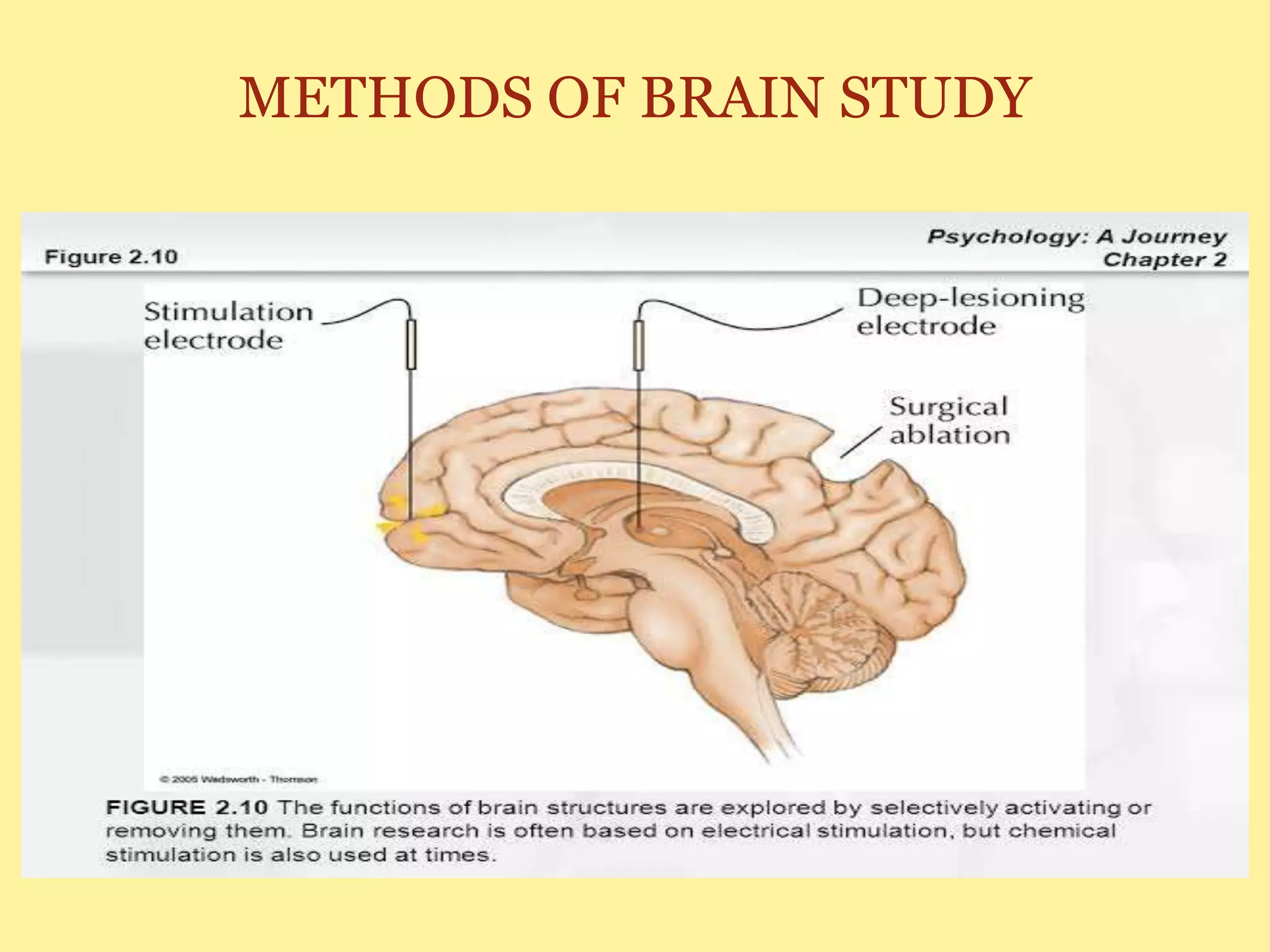 Ablation & lesion | PPTX