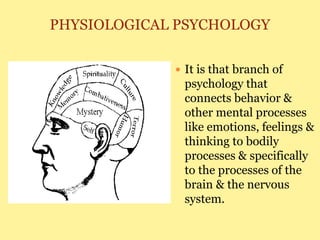 Ablation & lesion | PPTX