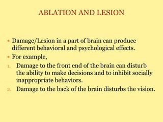 Ablation & lesion | PPTX