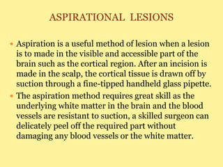Ablation & lesion | PPTX