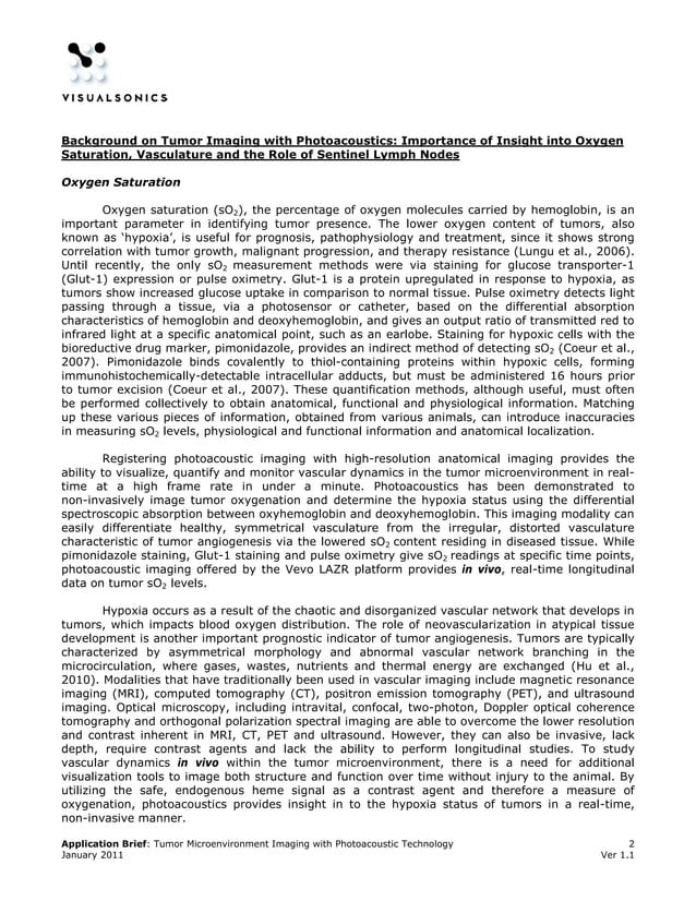 Application Brief: Tumor Microenvironment Imaging with Photoacoustic ...