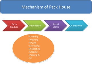 Business plan pack house | PPTX