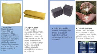 Rubber | PPTX
