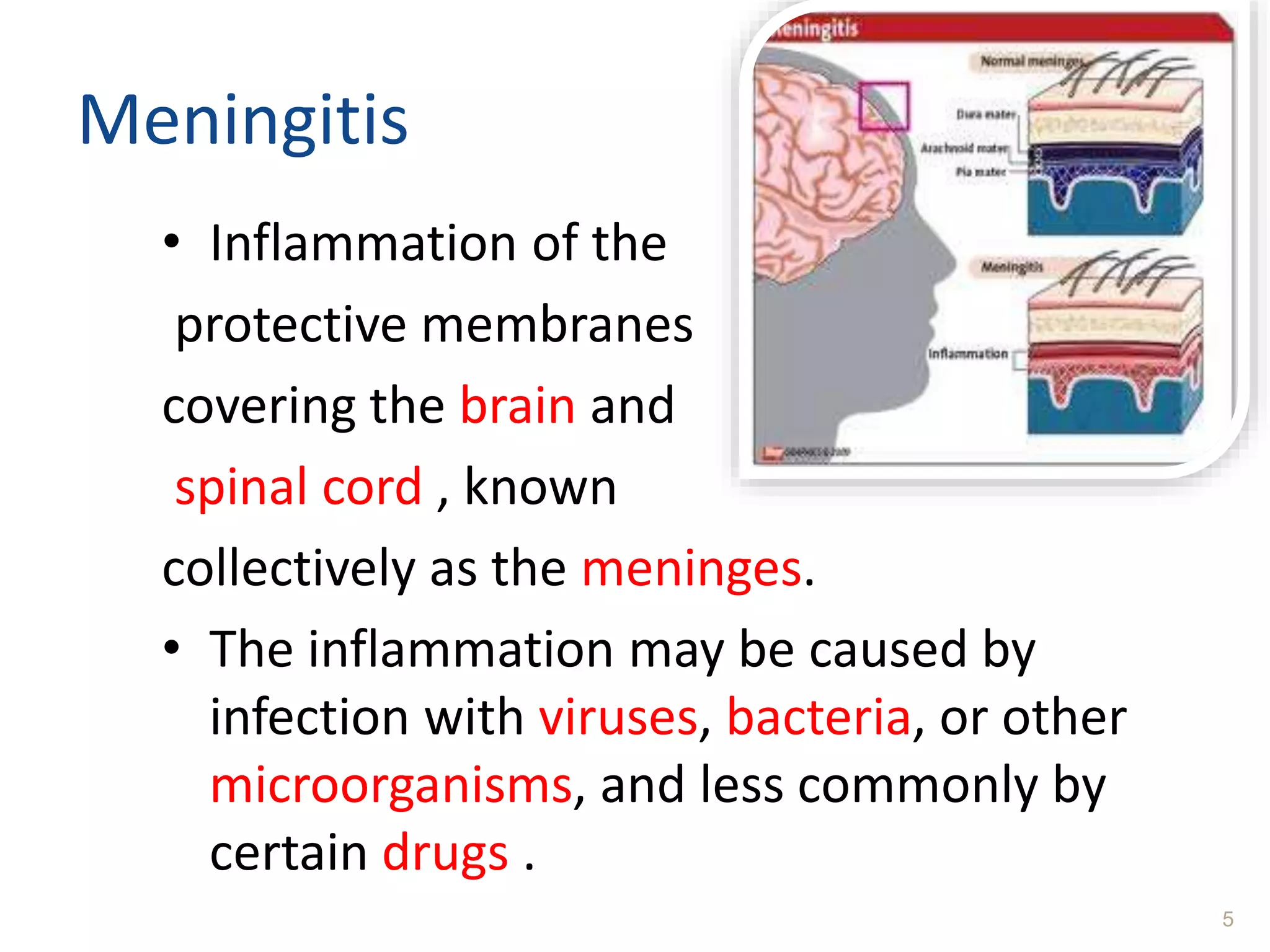 Acute meningitis for clinical pharmacy | PPTX
