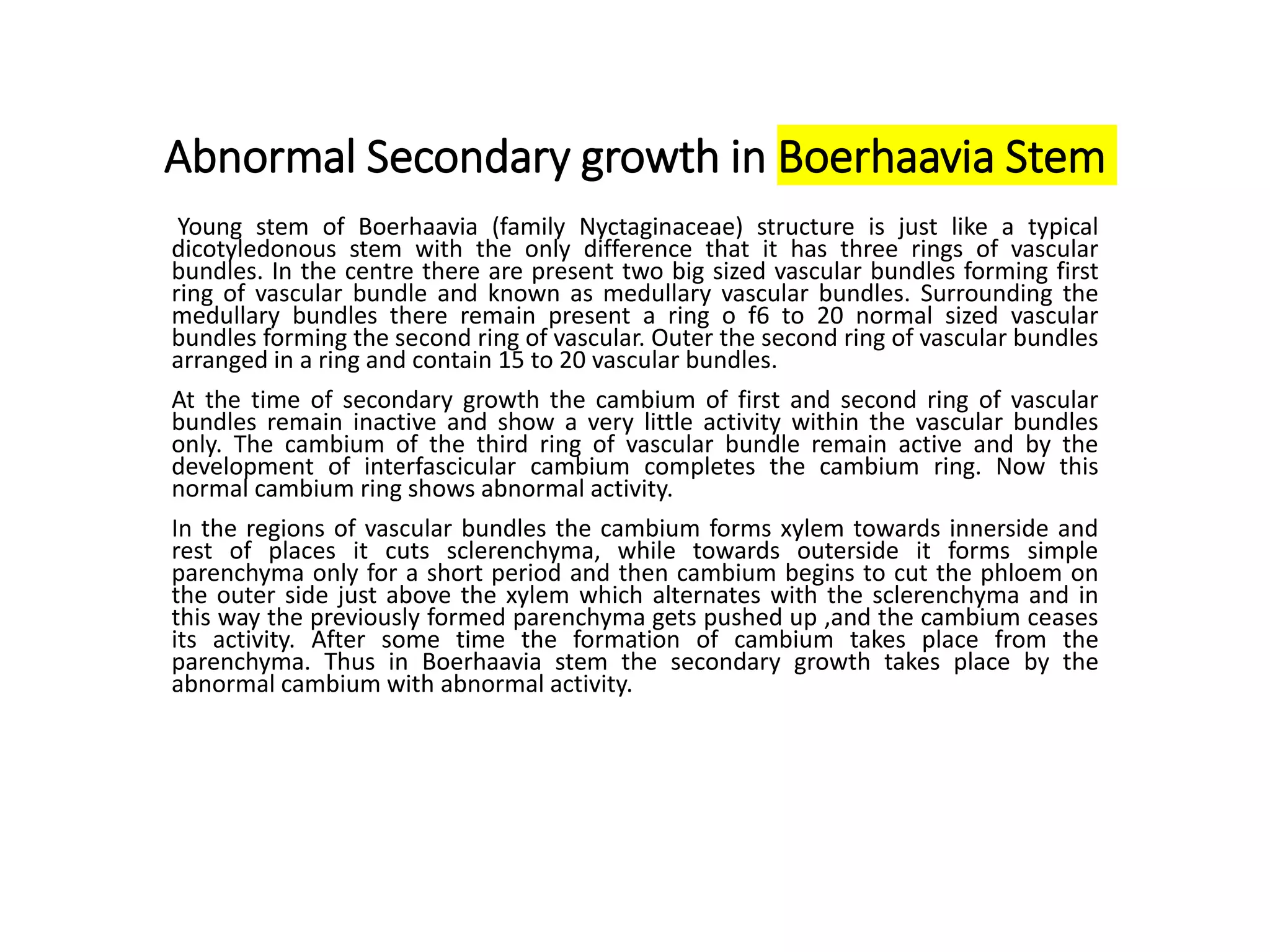 Abnormal secondary growth in dicot stem | PPTX