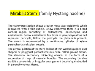 Abnormal secondary growth in dicot stem | PPTX