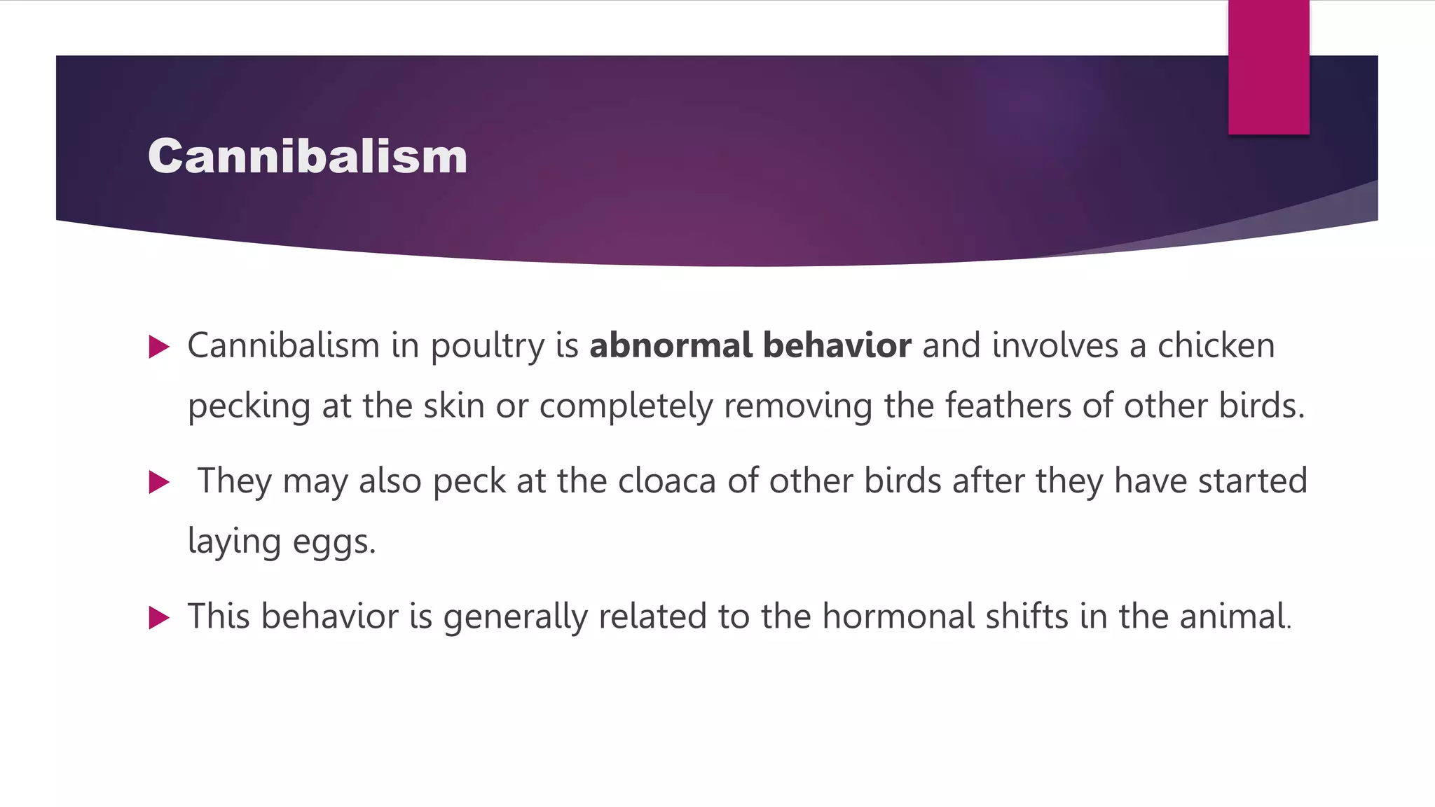 Abnormal behavior of birds in captivity.pptx