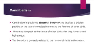 Abnormal behavior of birds in captivity.pptx