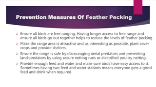Abnormal behavior of birds in captivity.pptx