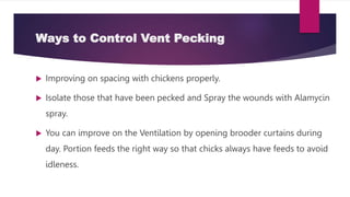 Abnormal behavior of birds in captivity.pptx