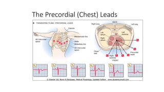 abnormal ECG in normal patients - Dr Vijan.pptx